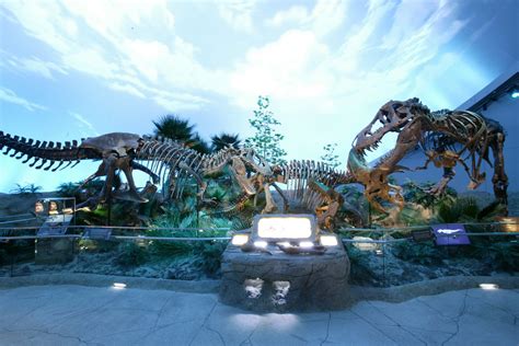 Dinosaur Skeleton Fossil Hd Wallpaper 3600x2400 Wallpaper Abyss