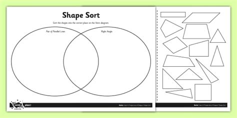 2d Shapes Sort Differentiated Activity Twinkl