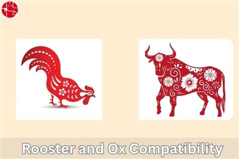 Chicken Zodiac Compatibility