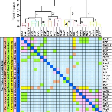 Correlation Cluster Analysis Showing Correlation And Clustering