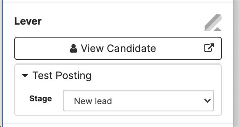enabling and using the gem integration lever support