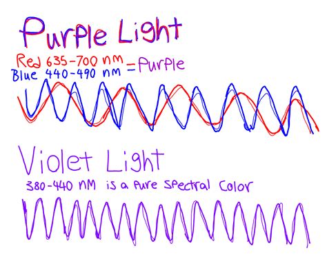 Violet Vs Purple Difference