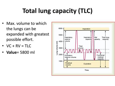 Ppt Lung Volumes And Lung Capacities Powerpoint Presentation Free Download Id 2352295