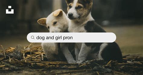 Dog And Girl Pron Pictures Download Free Images On Unsplash