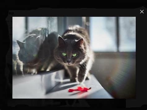 15 Simple Jquery Lightbox Plugins — Codehim