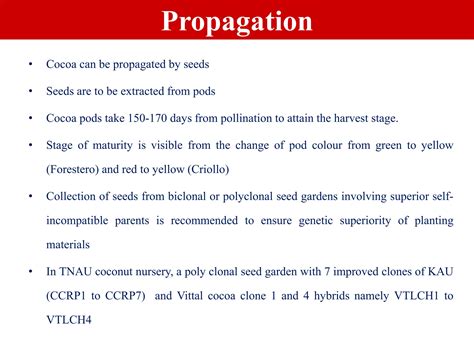 Production Technology Of Cocoa Theobroma Cacaopdf