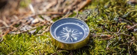 Is Vuca Model Still Relevant Today