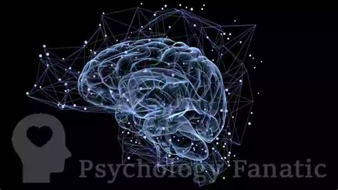 Exploring The Complexity Of Schizoid Personality Disorder Psychology