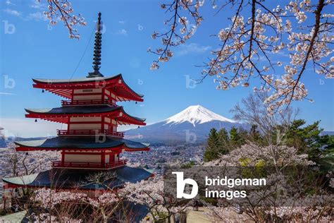 Image Of Mount Fuji In Spring With Cherry Blossom From Chureito Pagoda