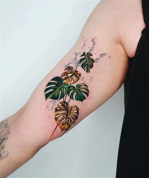 42 Monstera Tattoo Ideas For Plant Lovers Tattoo Imprints