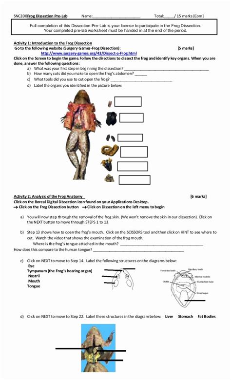 Frog Dissection Worksheet Answer Key Unique Frog Dissection Pre Lab Chessmuseum Template Library