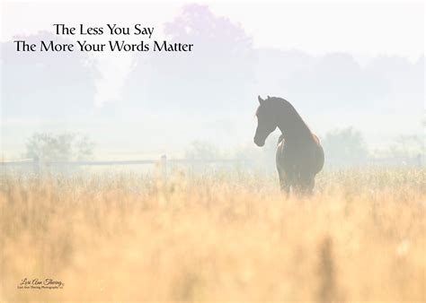 Lori Ann Thwing Photography Date 477 Sport 2014 Keuring Griffin Sport