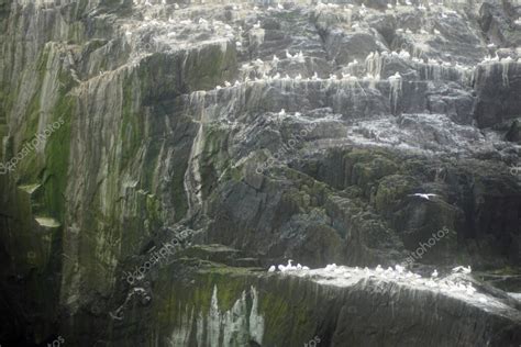 La Isla De Skellig Michael Tambi N Conocido Como El Gran Skellig Es El Hogar De Uno De Los