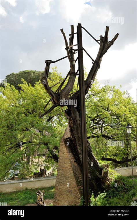 Italy Rome Gianicolo Quercia Del Tasso Oak Tree Of The Italian Poet