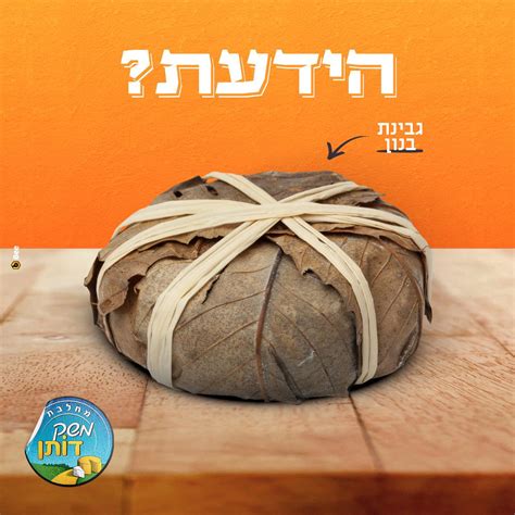 מחלבת משק דותן הידעתם גבינת בנון עטופה בעלי ערמונים Facebook