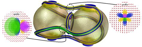 Imaging And Visualization Of Complex Nematic Fields