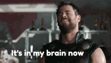 In My Brain Meme In My Brain Discover And Share S
