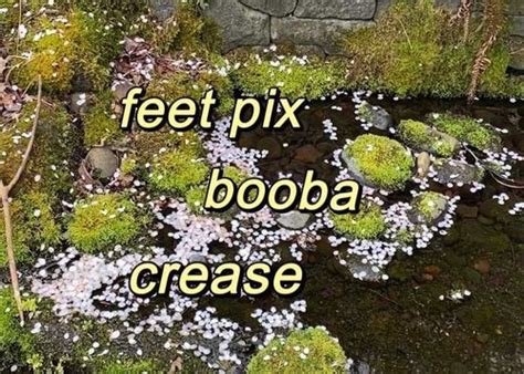 Onlyfans Finder The Search Engine For Onlyfans