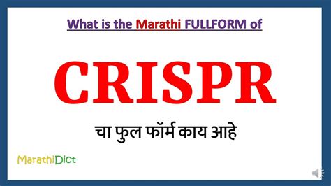 Crispr Full Form In Marathi Crispr Cha Full Form Kay Aahe Crispr