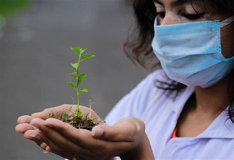 Lc Ms Plant Metabolomics Analysis Metabolite Profiling Metwarebio