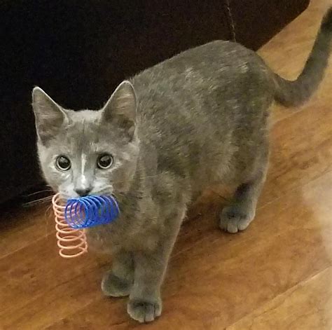 Octavia Loves Her Springs Raww
