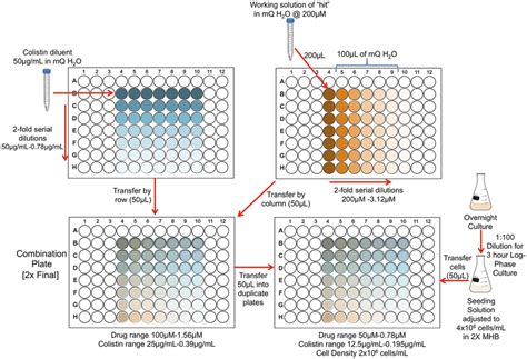 Schematic Of Checkerboard Assay Download Scientific Diagram
