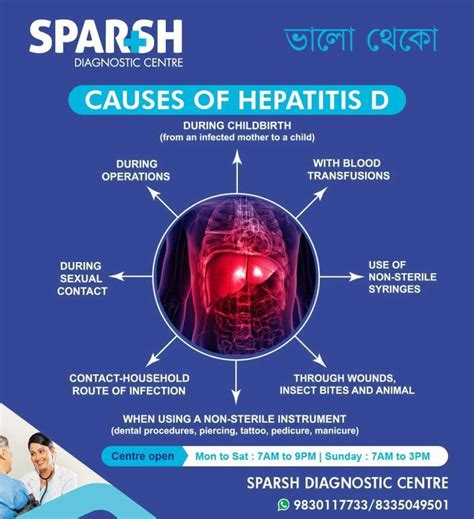 Hepatitis D Sparsh Diagnostic Center
