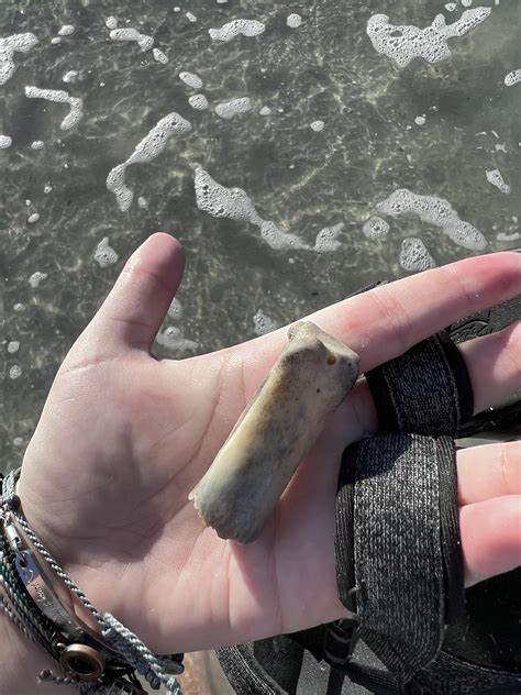 Beach Bone Album On Imgur