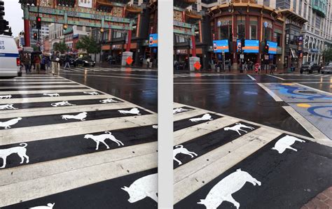 Chinatown Crosswalk Barnes Dance Bonanza Popville