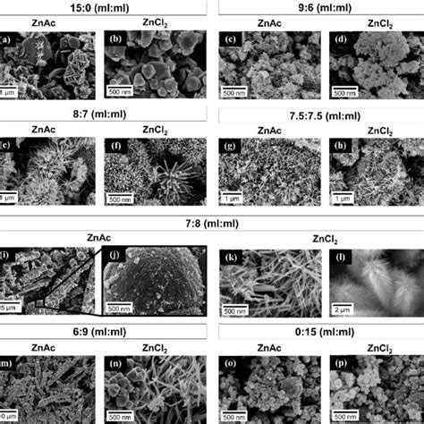 Sem Micrographs Of The Nanostructures Obtained By Synthesis Using