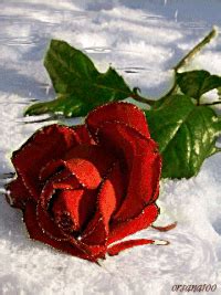 Roses S Get The Best  On Er