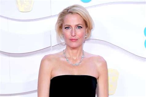 Gillian Anderson Sex Education Exposed Me To Things Id Never Heard Of Before Evening Standard