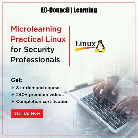 Learn How To Master Linux Security Buffly3yxioow Codered Posted On The Topic Linkedin