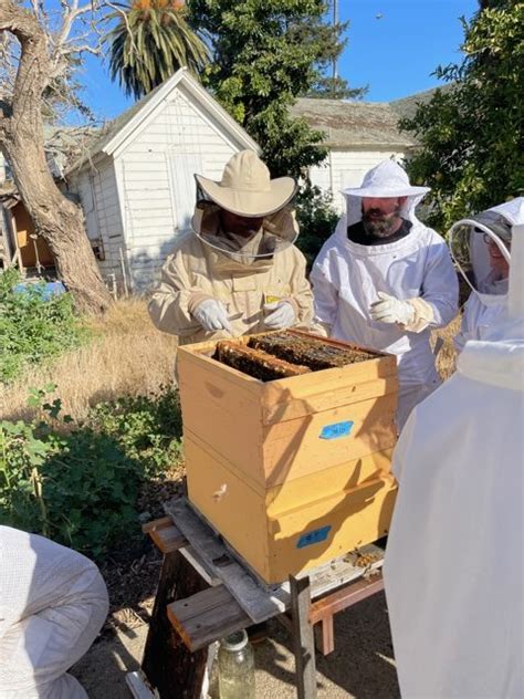 Fall Intro To Beekeeping Class Photos Gilroy Beekeepers Association