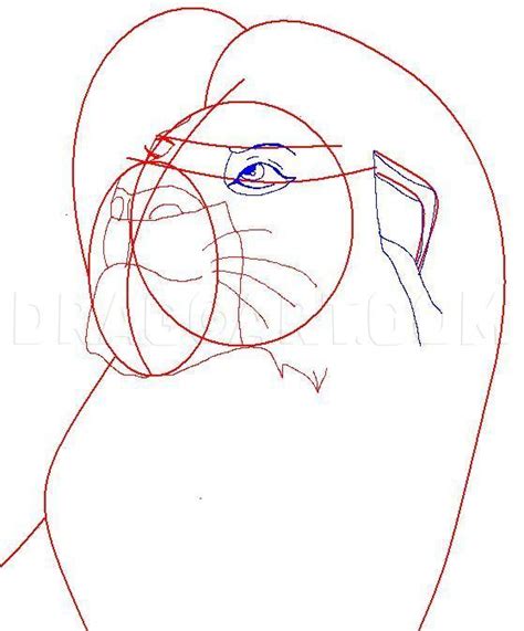 How To Draw Adult Simba Drawing Step By Step By Nteamlover Dragoart