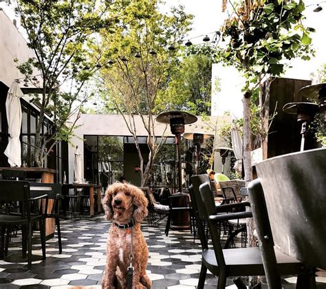 Tastes Of La Zinqué The Three Tomatoes