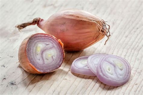 How To Grow Shallots A Guide To Growing These Mild And Savory Bulbs