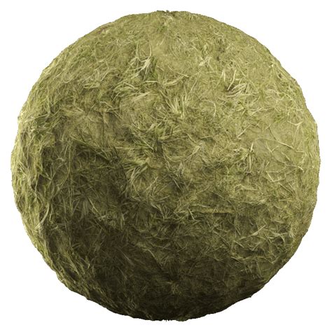 Patchy Wild Grass Pbr Texture A23d