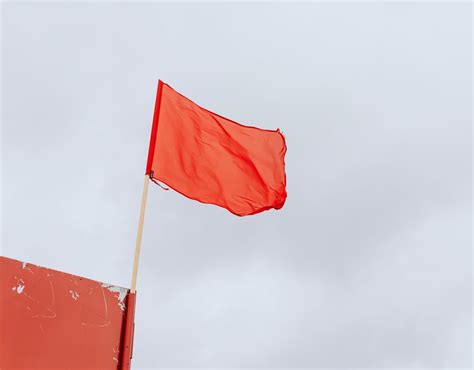Politifact Spreads Misinformation On Red Flag Laws And Due Process R