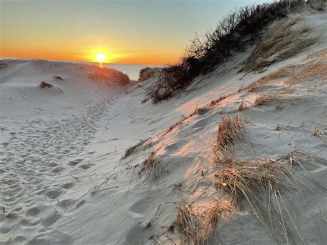 Sarah Elizabeth Dutton Added A Sarah Elizabeth Dutton