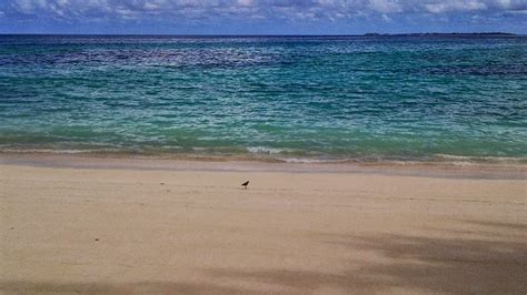 Sexy Nerds Vacation Photos