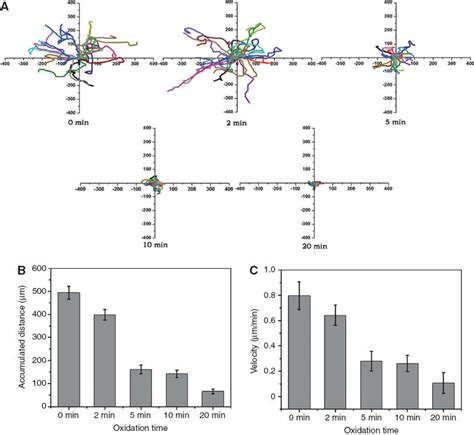 A Cell Migration Trajectories In The Pei Fc Dna 15 Multilayers At Download Scientific