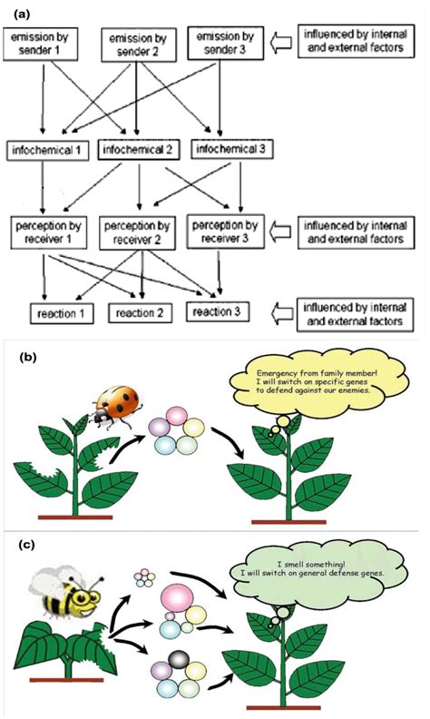 5 A Dynamic Web Of Interactions And Constraints Driven By Download Scientific Diagram