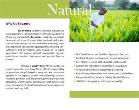 Wheatgrass Tea Cut Packaging Type Poly Bag Packaging Size 25 Kg At Rs 450kg In Gandhinagar