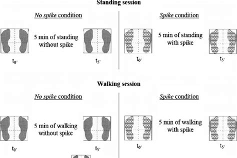 Diagram Of The Experimental Protocol Measure Of Postural Stability