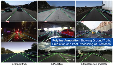 Polygon Vs Polyline Annotation In Ai Key Differences And Uses