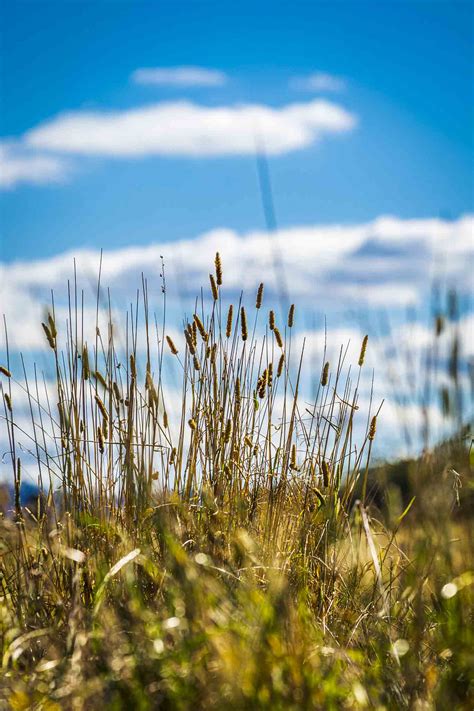 Destination Photo Gallery Escape Scenes