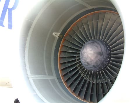Airbus A300 Super Transporter Beluga Walkaround Airlinercafe