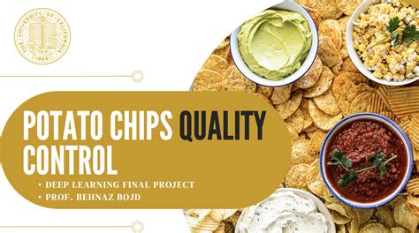 Urvi Vaidya Data Analyst And Bi Developer