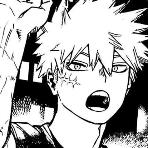 Katsuki Bakugo Doppleai